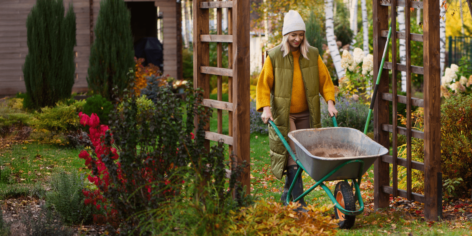 Online Plant Nursery | Trees, Bulbs & More | Wayside Gardens