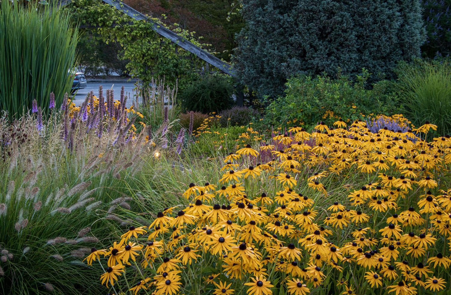Online Plant Nursery | Trees, Bulbs & More | Wayside Gardens