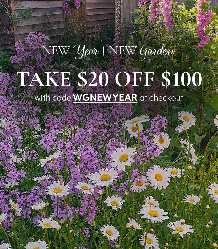 Online Plant Nursery | Trees, Bulbs & More | Wayside Gardens