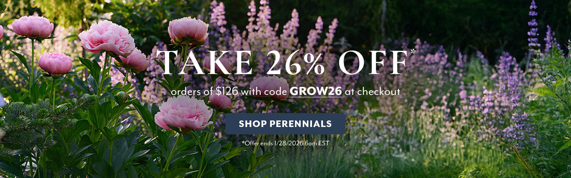 Online Plant Nursery | Trees, Bulbs & More | Wayside Gardens