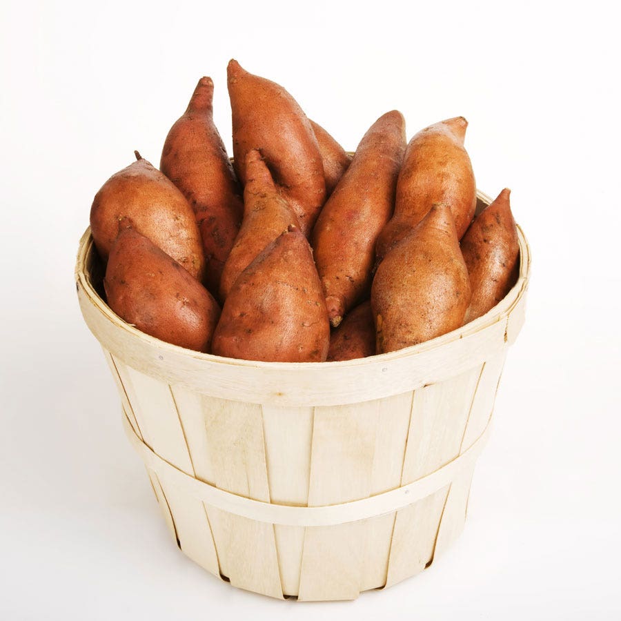 Vineless Puerto Rico Sweet Potato Slips – Wayside Gardens